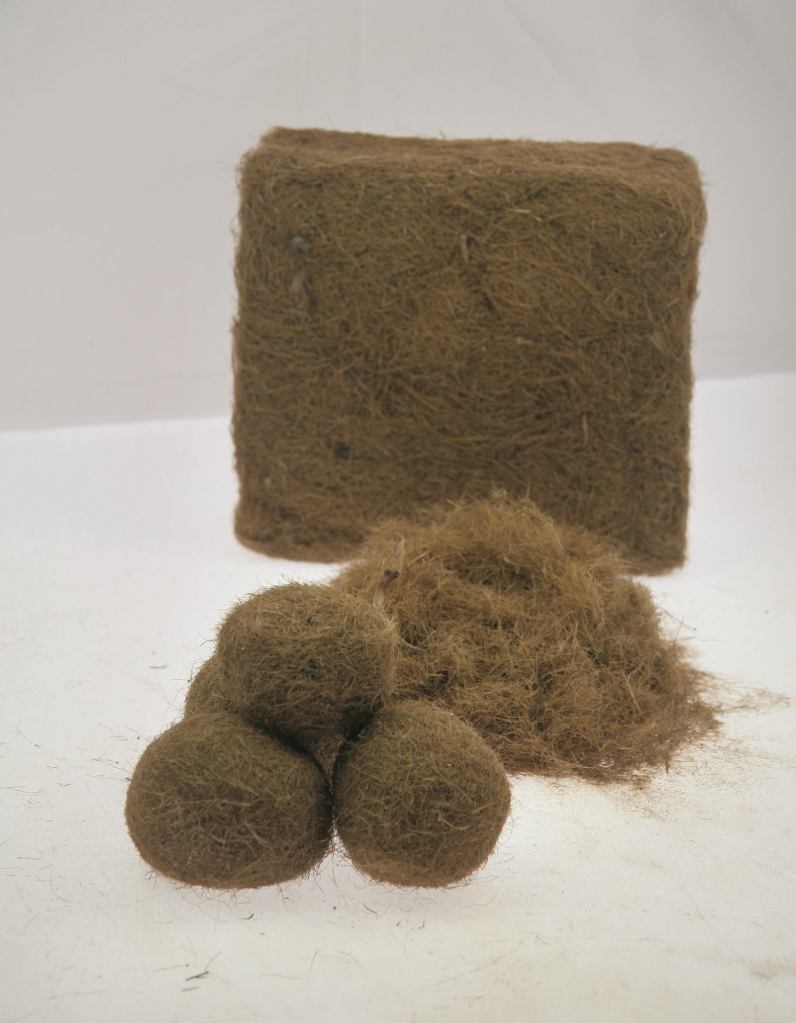 A Mediterranean Plant Becomes Building Insulation