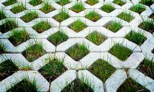 Permeable Surfaces Landscape Design