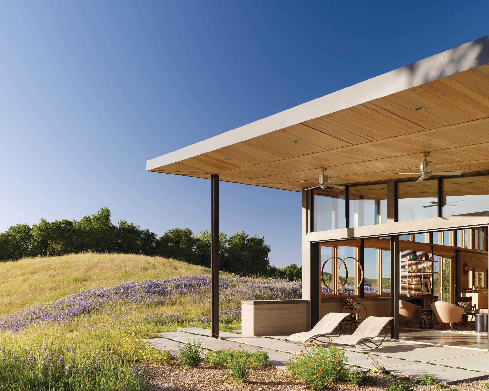 Caterpillar House