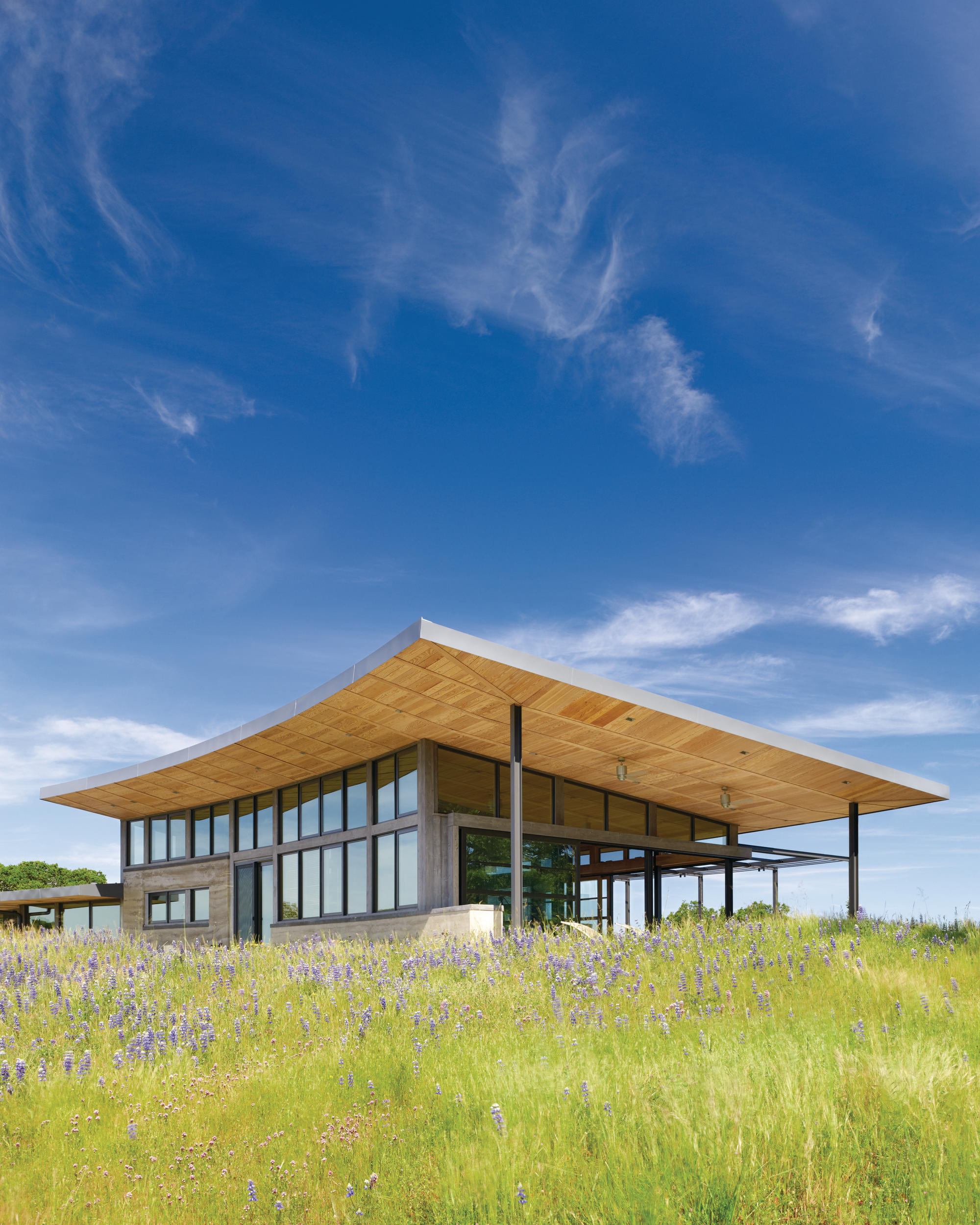 Caterpillar House