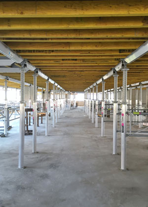Drop Head Shoring System