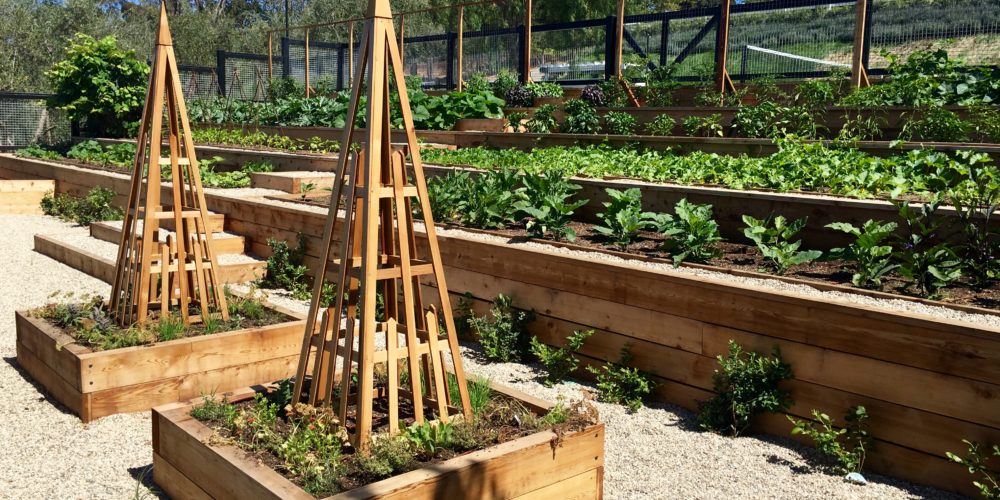 Farm-to-Table Amenities Yield Profits