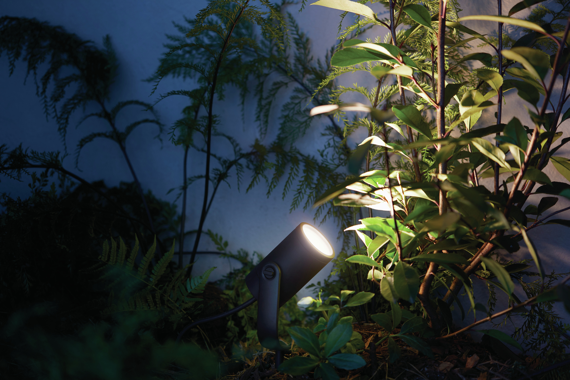 Philips Hue Takes Smart Light Bulbs Outdoors
