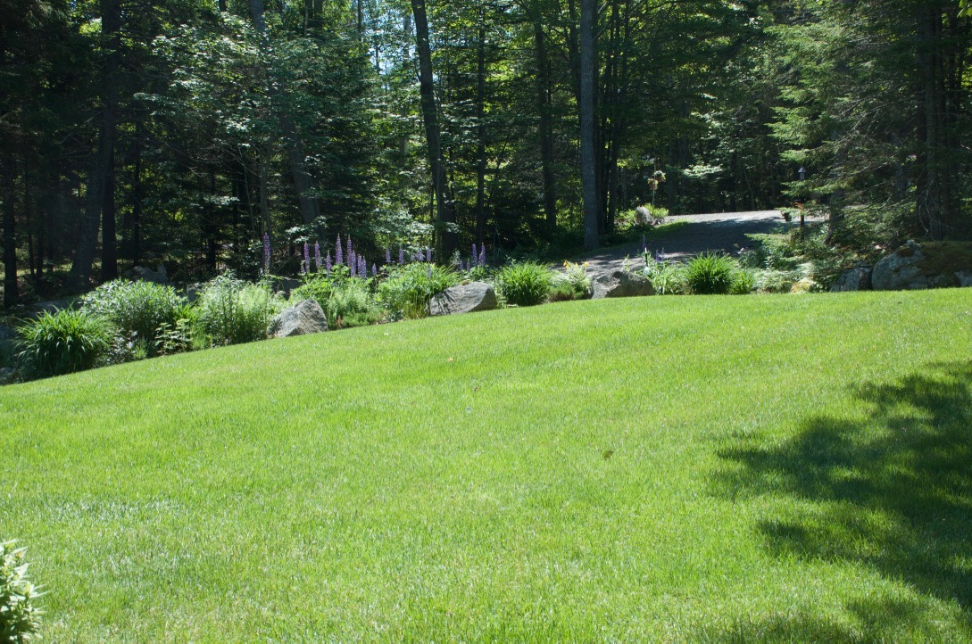 Top Landscape Trends for Fall