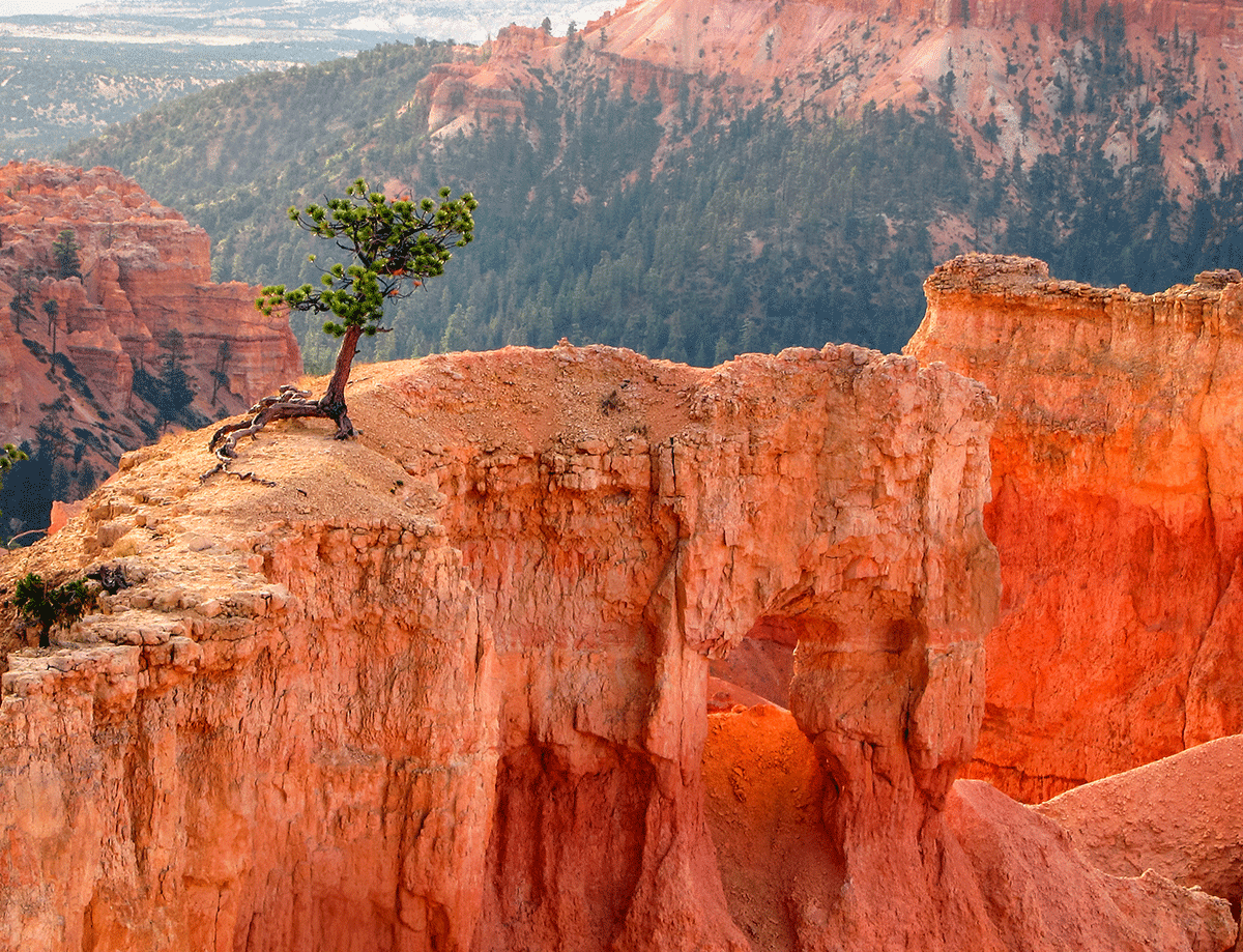 A Leader’s Guide to Resiliency in Critical Times | Builder Magazine