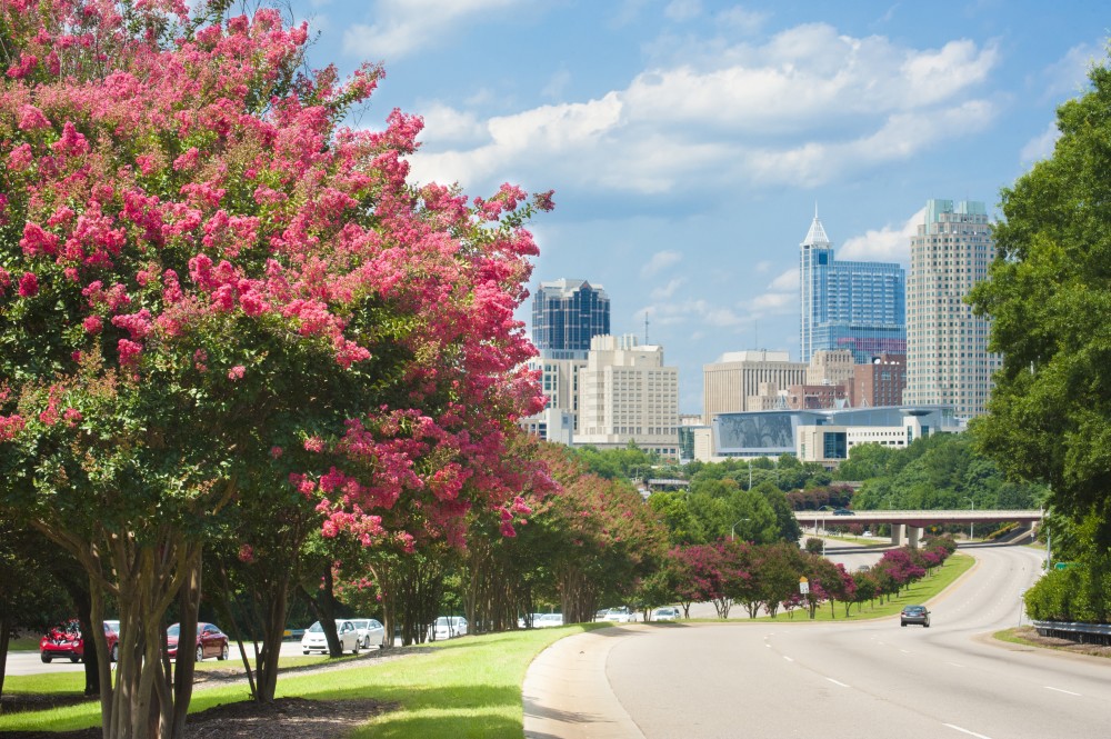 Market Snapshot: Raleigh Shows Balance on the Surface, but Gaps Beneath ...