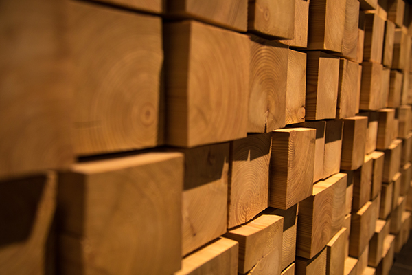 Lumber Market Returned to More Normal Seasonal Patterns in 2024