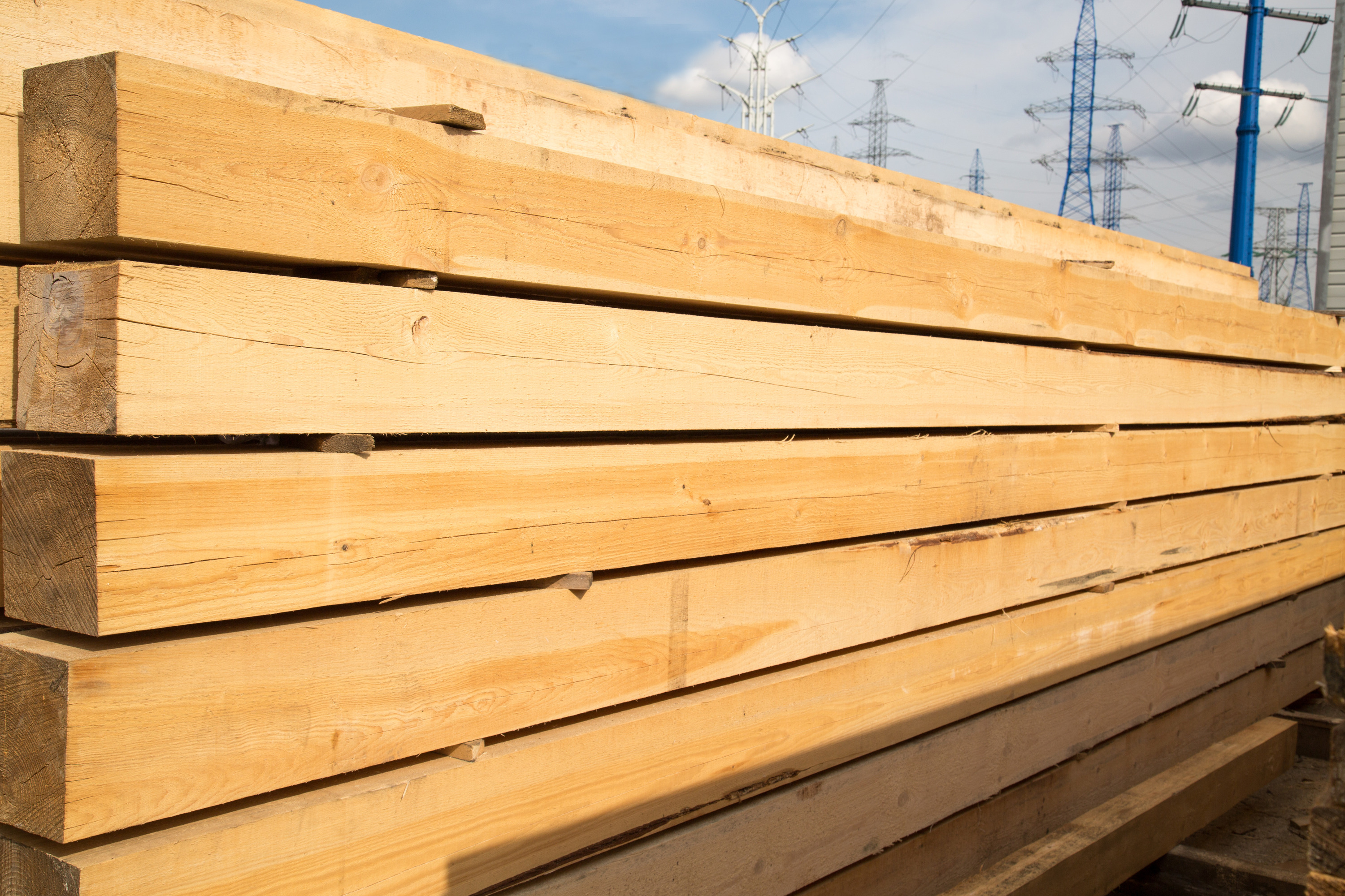 Lumber Market Update: Stable Prices, Lower Production