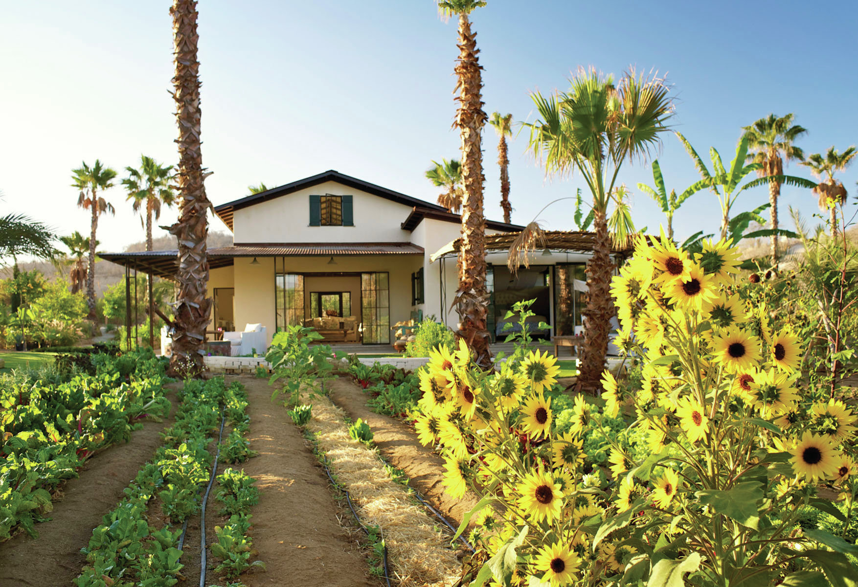 Award-Winning Indoor/Outdoor Design