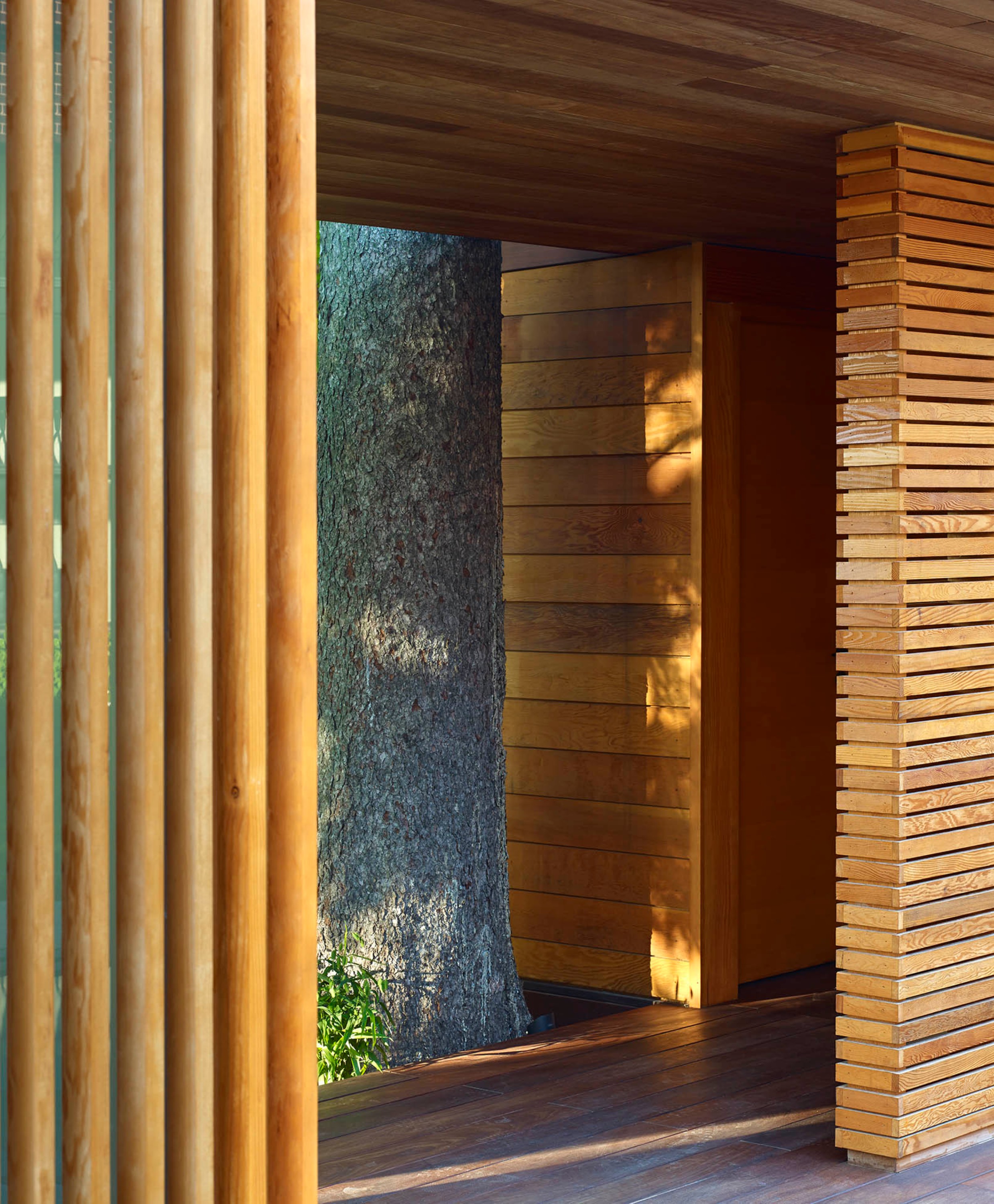 Clearview Pavilion - Architect Magazine
