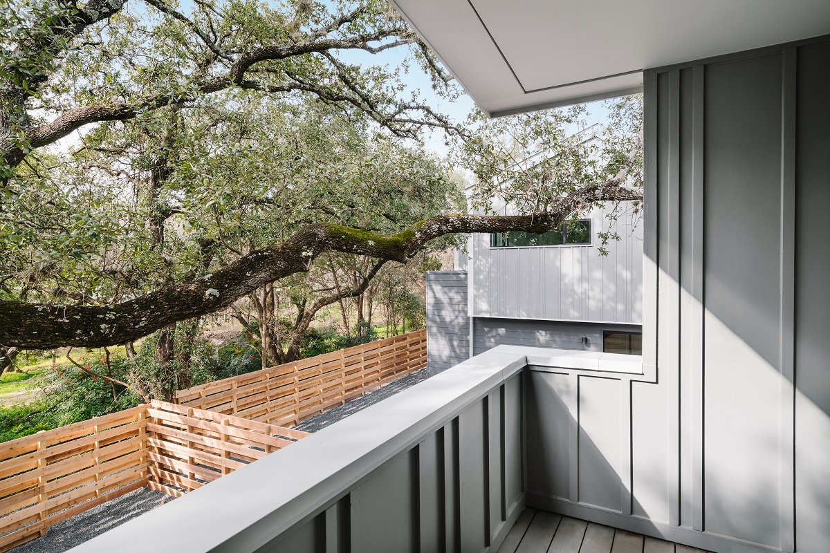 Several Live Oaks Enhance a Modern Duplex Project in Austin, Texas