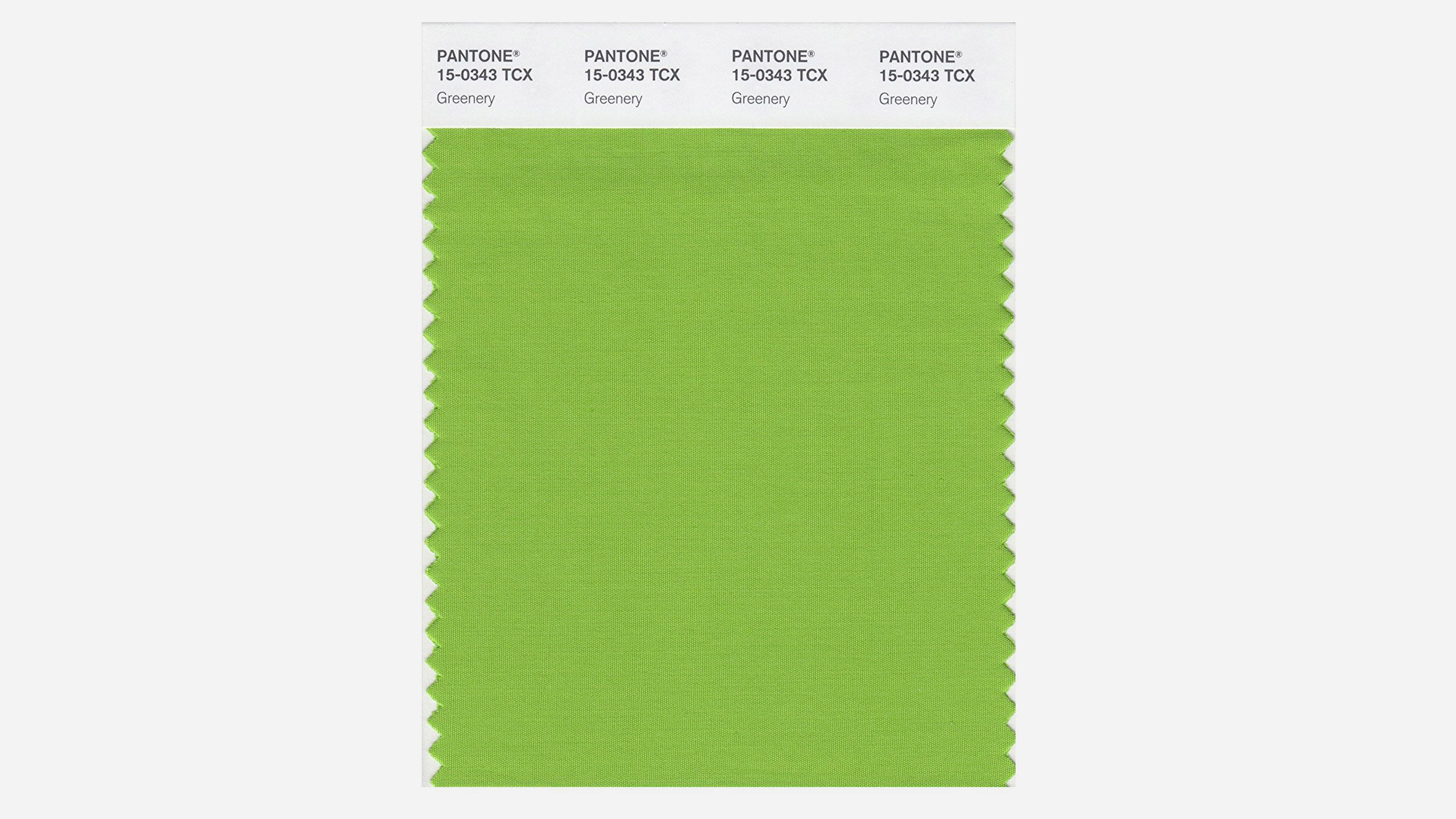 Pantone Unveils Greenery as 2017 Color of the Year