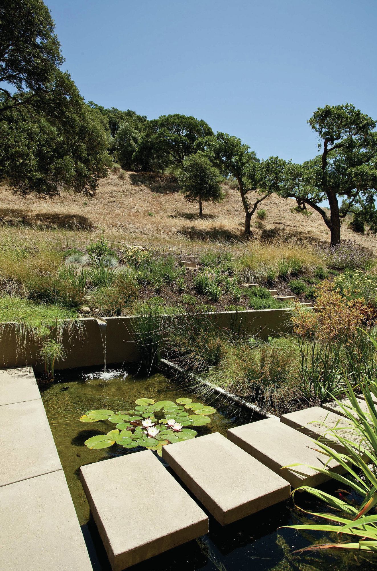 Water Wise and Naturally Beautiful