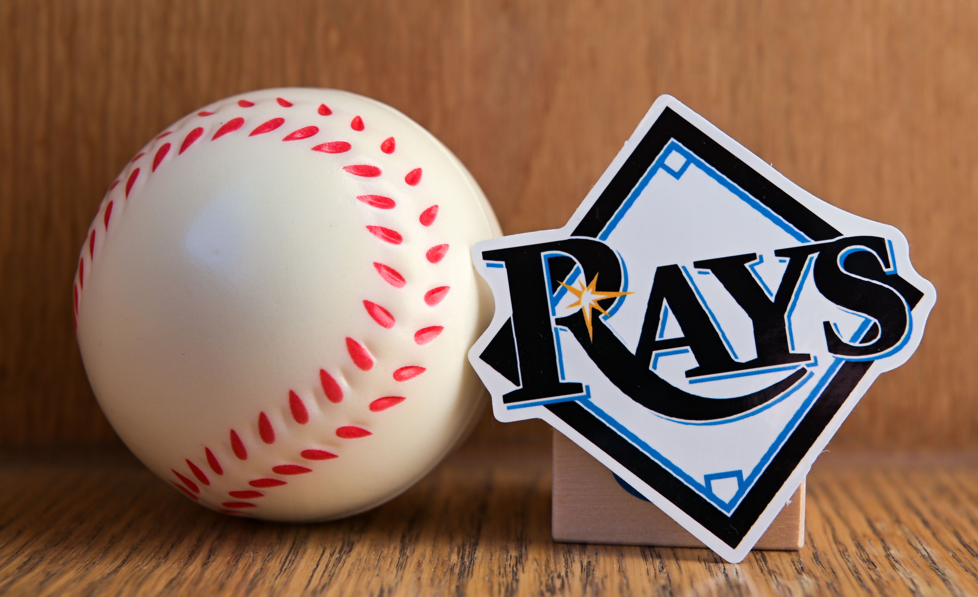 Dream Finders CEO OK'd As New Owner of Tampa Bay Rays | Builder Magazine